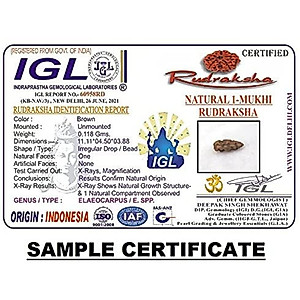 Vishaka Arts Natural 1 Mukhi Indonesian Rudraksha In Silver Case/One Mukhi Java Rudraksha In Silver Pendant 13mm-14mm IGL Certified