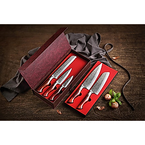 HEZHEN Damascus Knife Set 5PCS,Premium Powder Steel Forged Hammered Pattern, Rosewood Handle, Home Cooking Kitchen Knives