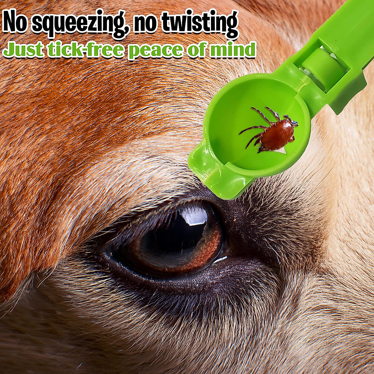 Tick-It-Off Quick Tick Remover Tool - Safely Removes Ticks and Protect Your Loved Ones, Green