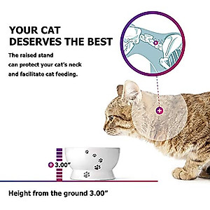 Y YHY Cat Bowl, 15 Ounce Cat Water Bowl, Raised Ceramic Cat Food Bowl, Elevated Cat Dog Dish No Spill, Pet Bowls for Cats or Small Dogs, Anti Vomiting, Measurable, White