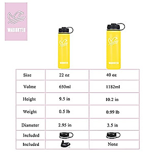 WABURTEO Stainless Steel Water Bottles with Straw-22oz, 40oz, Insulated Water Bottle with Lids, Multiple Size & Colors Vacuum Insulated Bottle, Keep Liquids Hot or Cold