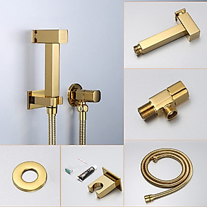Handheld Bidet Sprayer Kit Gold Single Handle Bidet Tap Sprayer Wall Mounted Cold Water Sprayer with Button Toilet Bidet Douche Spray, Double Outlet