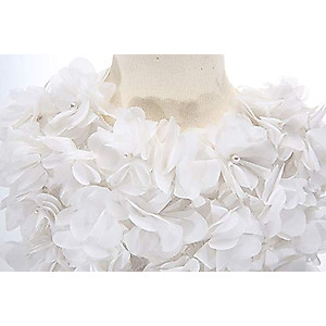 Bow Dream Baby Flower Girl Dress with Shoes Applique Birthday Princess Party White 0-3 Months