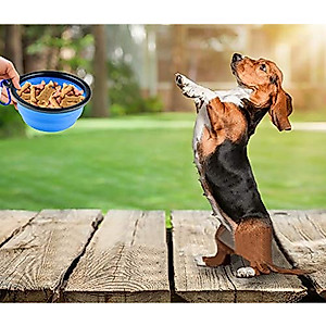 MXZONE 3 Collapsible Silicone Dog Bowl, Foldable Expandable Cup Dish for Small Pet Cat Food Water Feeding Portable Travel Bowl, Free Pet ID-Tag