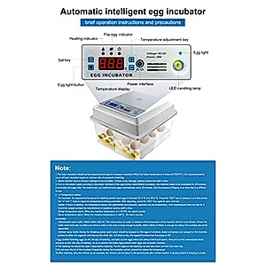 Safego 16 Eggs Incubator for Hatching Eggs, Digital Mini Incubator with Automatic Turner and Egg Candler Tester for Hatching Chicken Duck Quail Bird Eggs