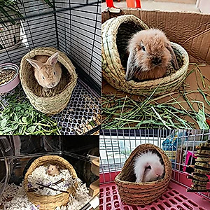 kathson Woven Pet hay Bed for Hamsters, Hand Crafted Grass House for Rabbits, Guinea-Pigs, Bunny and Cats (1ball+Bed)