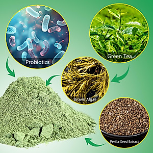 Generic Plaque Removal Natural Dental Powder, Dog Breath Freshener Powder with Probiotics for Tartar & Bad Breath, Teeth Cleaning Made Easy-Formulated for Small, Medium, Large Dogs, green