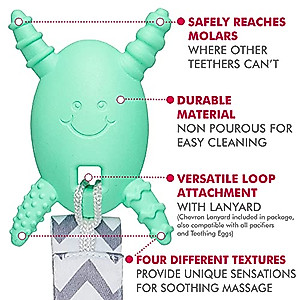 Baby Must Haves - Teething Egg Mint Green Bundle Baby Rattle Teether Toys, Development Toys for 3 Months up to 18 Months, Infant Sensory Toys, 6 Month Old Baby Essentials