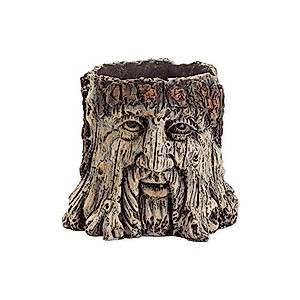Bits and Pieces - Tree Face Garden Planter - Durable Polynesian Indoor-Outdoor Urn for Plants - Forest Inspired Whimsical Garden Décor