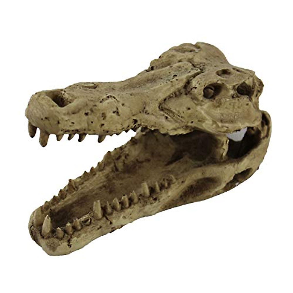 Pangea Reptile Crocodile Skull Terrarium Decoration, Tan