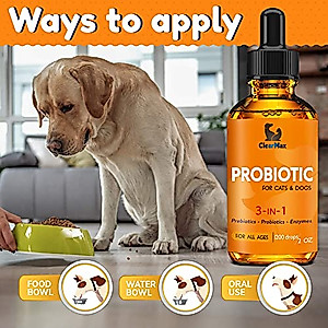 Probiotics for Dogs - Cat Probiotic - Great Dog Probiotics and Digestive Enzymes for Pet - Dog Digestive Enzymes & Pure Prebiotic - Canine Probiotic - Probiotics for Cats - Puppy Probiotic