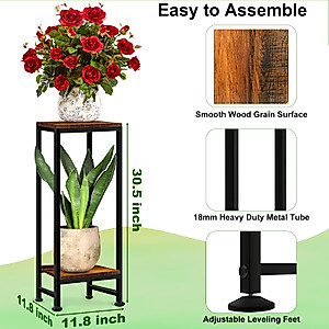 Plant Stand Indoor, Tall Plant stands for Indoor Outdoor Plants, 2 Tier Heavy Duty Plant Shelf 31" Metal Plant Stand Modern Corner Flower Stand for Patio, Living Room, Balcony
