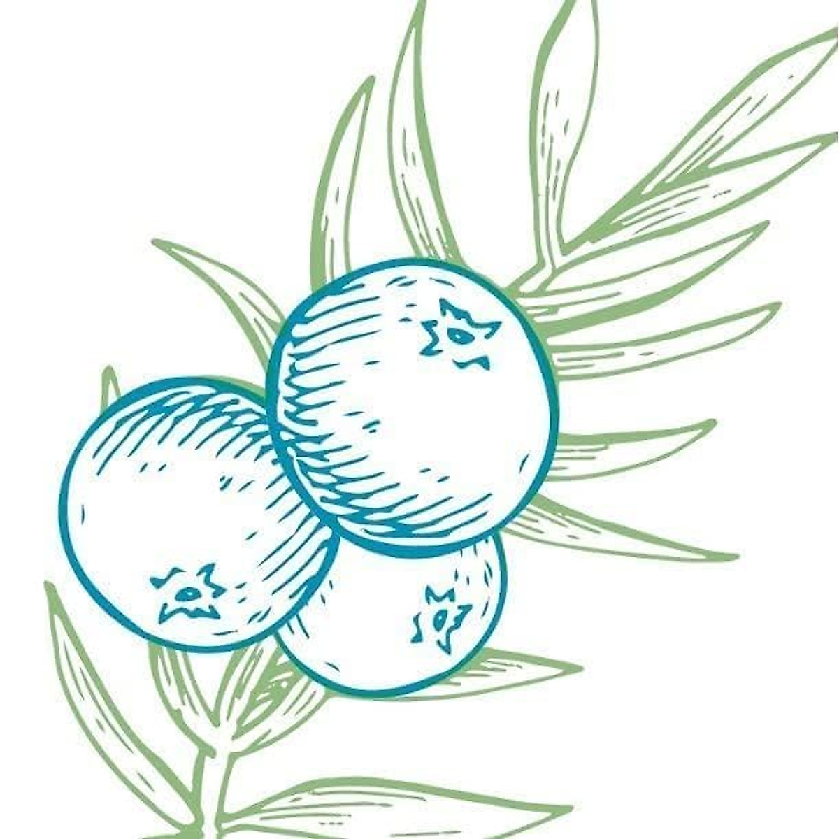 ARM & HAMMER Essentials Solid Deodorant, Clean(Juniper Berry), Wide Stick, 2.5 oz. (Pack of 3)