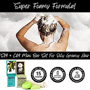 S04+C04 Solid Shampoo & Conditioner Set for Oily Roots and Sensitized Hair, Deeply Cleanse, All Natural Zero Waste and Organic Shampoo Bars for Hair,2 Travel Size Bars