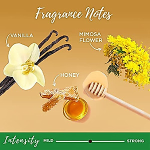 Garnier Whole Blends Honey Treasures Repairing Shampoo, with Sustainably Sourced Honey, For Dry, Damaged Hair, Travel Size, 3 Fl Oz, 1 Count (Packaging May Vary)