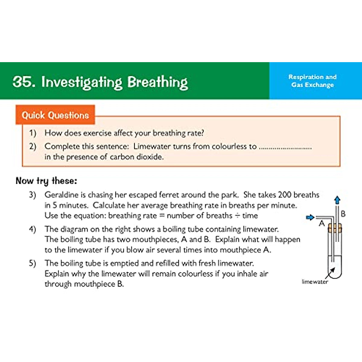 New Grade 9-1 Edexcel International GCSE Biology: Revision Question Cards (CGP IGCSE 9-1 Revision)