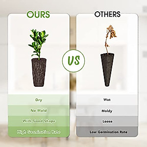 60 Pack Replacement Grow Sponges, Seed Pod Kit Seed Starter Pods Hydroponics Sponges Grow Sponges for Hydroponics Root Growth Sponges Refill Pods for Hydroponic Growing System Indoor Garden, Square