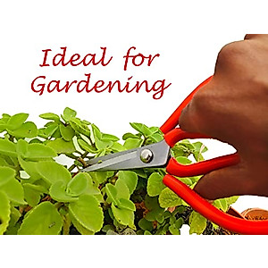 Star Quick Links Professional 7.9" Bonsai Scissors, For Arranging Flowers, Trimming Plants, For Grow Room or Gardening, Bonsai Tools. Garden Scissors Loppers.