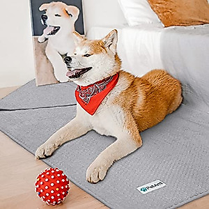 PetAmi Waterproof Dog Blanket, Leakproof Puppy Blanket for Medium Large Dogs, Furniture Sofa Couch Cover Protector, Fleece Pet Throw Indoor Cat Kitten, Reversible Washable Soft Plush, 40x60 Light Gray