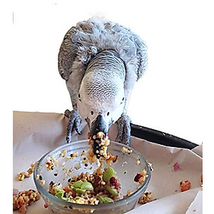 Bird Street Bistro Parrot Food - Parakeet Food - Cockatiel Food - Bird Food - Cooks in 3-15 min with Natural & Organic Grains - Legumes - Non-GMO Fruits, Vegetables, & Health Orientated Spices