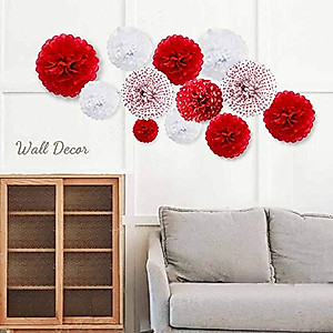 ANSOMO Red Tissue Paper Pom Poms Flowers Wall Hanging Party Decorations 12" 10" 8" 6" Pack of 12, Red & White