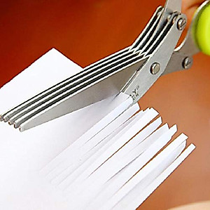 BENEKIY Scissors Herb Stripper Tools Kits 5-Blades Stainless Steel Scissors with Kitchen Herb Stripping Tool, Safe Cover, Cleaning Comb Multipurpose Kitchen Chopping Shear, Mincer