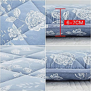 WJH Thicken Bamboo Charcoal Fiber Mattress, Japanese Futon Sleeping Pad Mattress Topper Tatami Floor Mat Soft Comfortable Double-C 120x200cm(47x79inch)