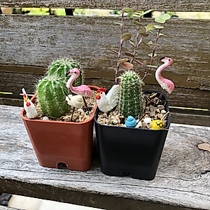 Ray 1979 Miniature Dollhouse Fairy Garden 0.5 inch Accessories 5 pcs Set for DIY Decorations, Mini Figurines for Mini Garden, Terrarium, Bonsai, Cactus, Moss Landscape (Rabbit -5Pcs)