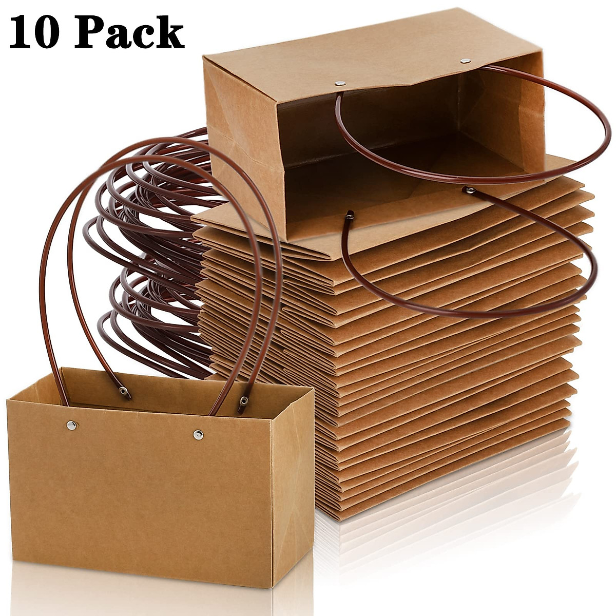 DEAYOU 10-Pack Kraft Paper Flower Gift Bags, Brown Bouquet Bags Box with Handle, Small Brown Paper Carrier Tote Bags with Waterproof Lining for Floral Arrangements, Party Favor, Ultra Thick