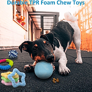 Beiker 20 Pack Puppy Chew Toys - Blue Dog Teething Toys for Puppies, Puppy Toys Teething Rings and Durable Ropes, Blue Rubber Toy Bundle for Small Dogs, Cute Interactive Dog Balls for Small Breed