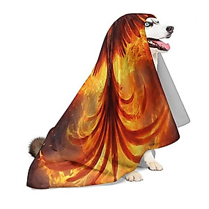 Delerain Burning Bird Flannel Fleece Throw Blanket 50"x60" Living Room/Bedroom/Sofa Couch Warm Soft Bed Blanket for Kids Teens Boys Girls All Season