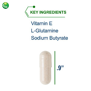 Nutra Biogenesis Intestinal Repair Capsules - Herbal Gut Health Supplement for Women & Men with Sodium Butyrate, Daily - 120 Capsules