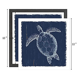 Sea life Art Framed Artwork: Coastal Pictures Ocean Theme Square Collection Set of 4 Wall Decor Set Prints for Bedroom (Multi-Style)