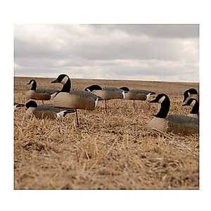 Greenhead Gear Canada Goose Shells