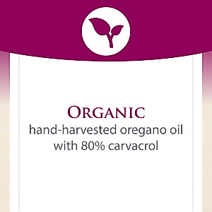 Natural Factors, Oil of Oregano 180 mg, Helps Maintain Good Health with Extra Virgin Olive Oil, 30 softgels (30 servings)