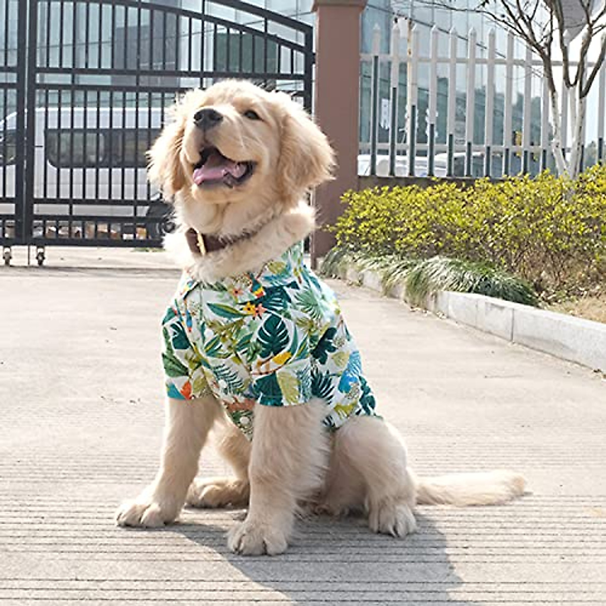 Harikaji Dog Hawaiian Shirt, Summer Pet Clothes Large Dog Cool Costume Beach T-Shirt for Medium Large Dog(White,6XL)