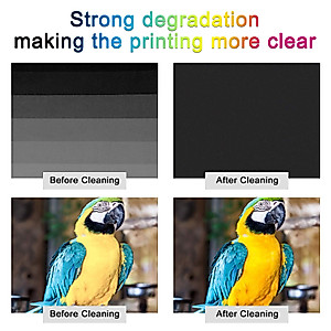 Printhead Cleaner Kit for HP 8600 5520 4620 6520 6600 6700 6968 6978 8610 Canon MX922 9000 C88 Brother Printers,Nozzle Cleaning Kit for Inkjet Officejet Pixma Printers