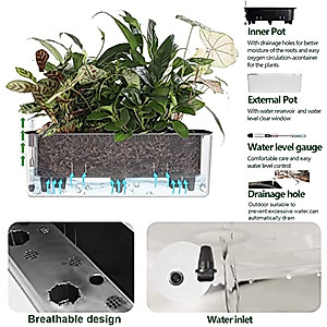 J&C Self Watering Planter, Window Gardening Box, 16x 5.5 Inch, Indoor Home Garden, Modern Decorative Planter Pot for All Indoor Plants, Rectangle, White (Plants Not Included)