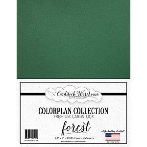 Colorplan Forest Green Cardstock Paper - 8.5 X 11 Inch Premium Matte 100 Lb. Heavyweight - 25 Sheets from Cardstock Warehouse