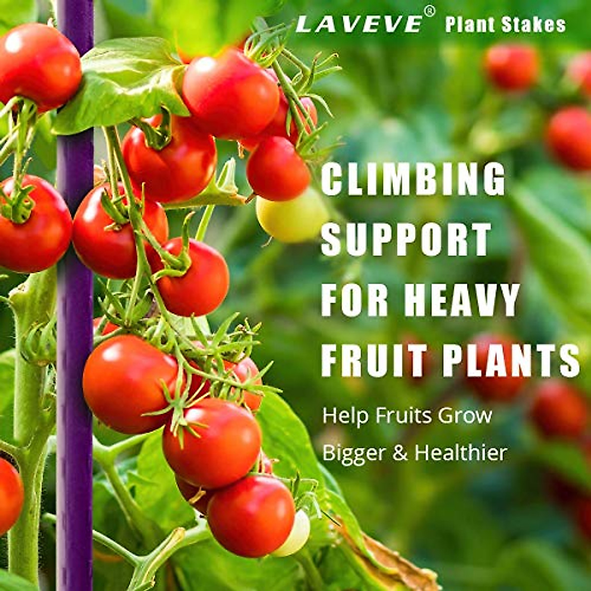 LAVEVE Garden Stakes 48 Inches Heavy Duty Steel Tomato Stakes, Plastic Coated Support Stakes for Securing Trees, Climbing Plants, Cucumber, Beans, Pack of 20