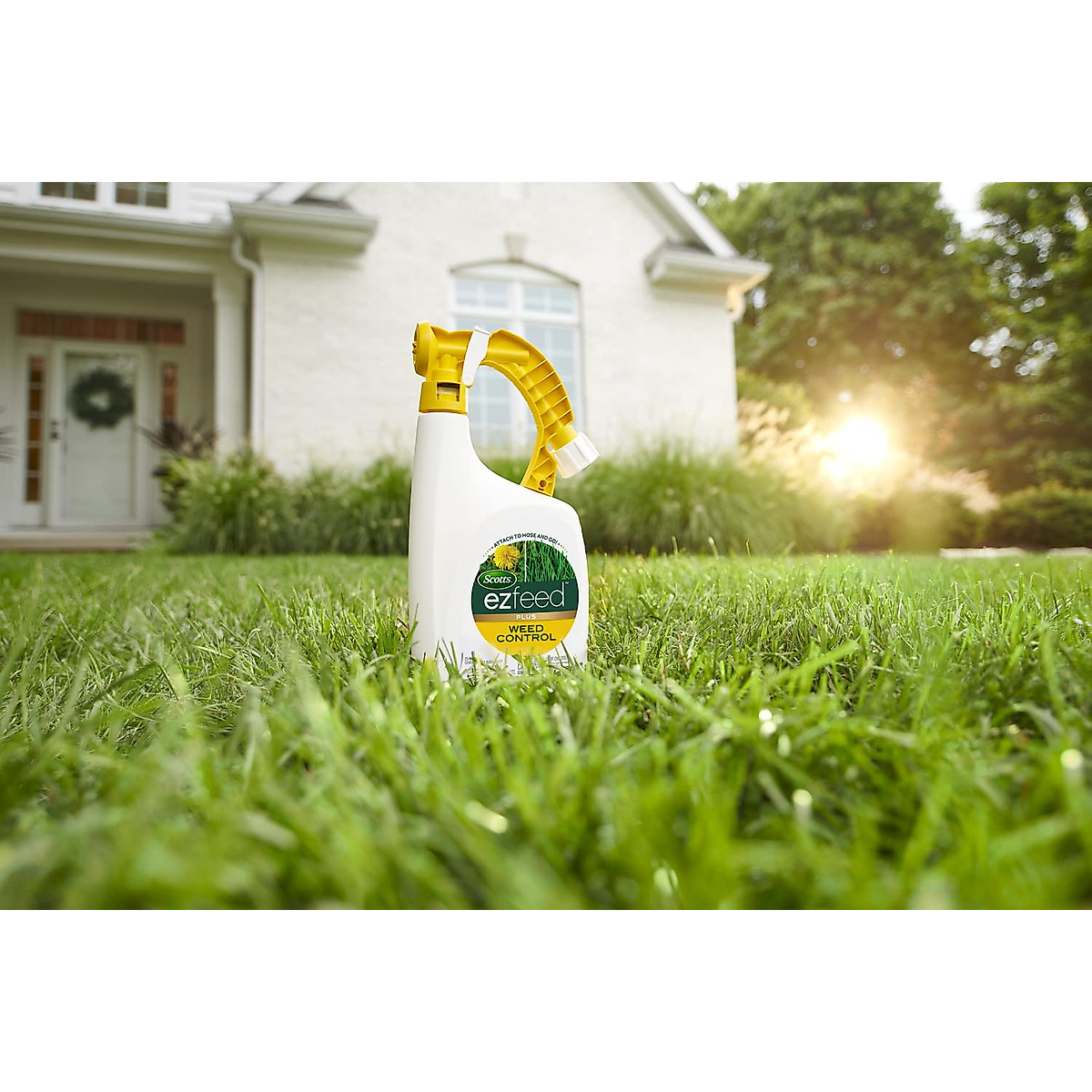 Scotts EZ Feed Plus Weed Control: Use on Northern and Southern Lawns, Fertilizes, Kills Clover, Dandelion, Ground Ivy, 32 oz.