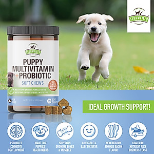 Strawfield Pets' Puppy Multivitamin + Probiotics for Dogs Puppy Vitamins with Joint Support Supplement for Dogs & Puppies Tasty Bacon Flavor 120 Soft Chews