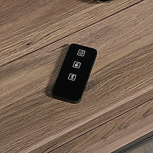 Sauder Barrister Lane Media Fireplace, for TVs up to 60", Salt Oak finish