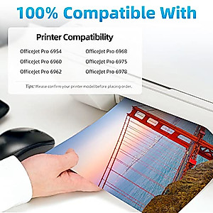 FASTINK HP 902 Ink Cartridge HP 902XLCombo Pack Compatible Ink Cartridge Replacement for HP Officejet Pro 6978 6968 6962 6958 6970 Ink Cartridges, 5-Pack (2 Black, 1 Cyan, 1 Magenta)