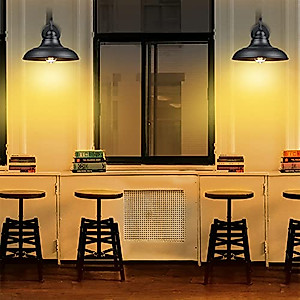 FLQMYQ Outdoor Wall Lights Wall Mount for House Farmhouse Outdoor Wall Sconce Black Outside Wall Lantern Classic Barn Lights Outdoor & Indoor, 12"，2 Pack