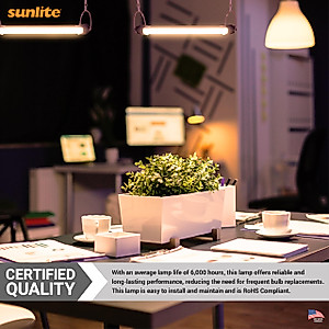 Sunlite 05065 F8T5/WW T5 Linear Fluorescent Lamp, 8 Watts, 380 Lumens, 2700K Soft White, Miniature G5 Bi-Pin Base, ROHS Compliant, High Performance Straight Tube, 10 Pack