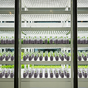 winemana 36 Set Nursery Pots with Humidity Dome, Clear Nursery Pots for Plants, Seed Starting Pots with Drainage Holes & Plant Labels for Vegetables Flowers Garden Plants