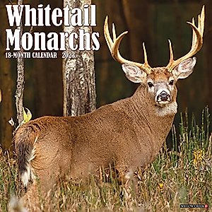 Whitetail Monarchs 2023 Wall Calendar