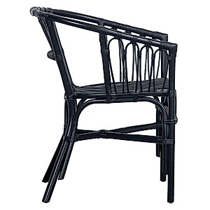 Safavieh Home Adriana Coastal Black Rattan (Set of 2) Accent Chair, 0