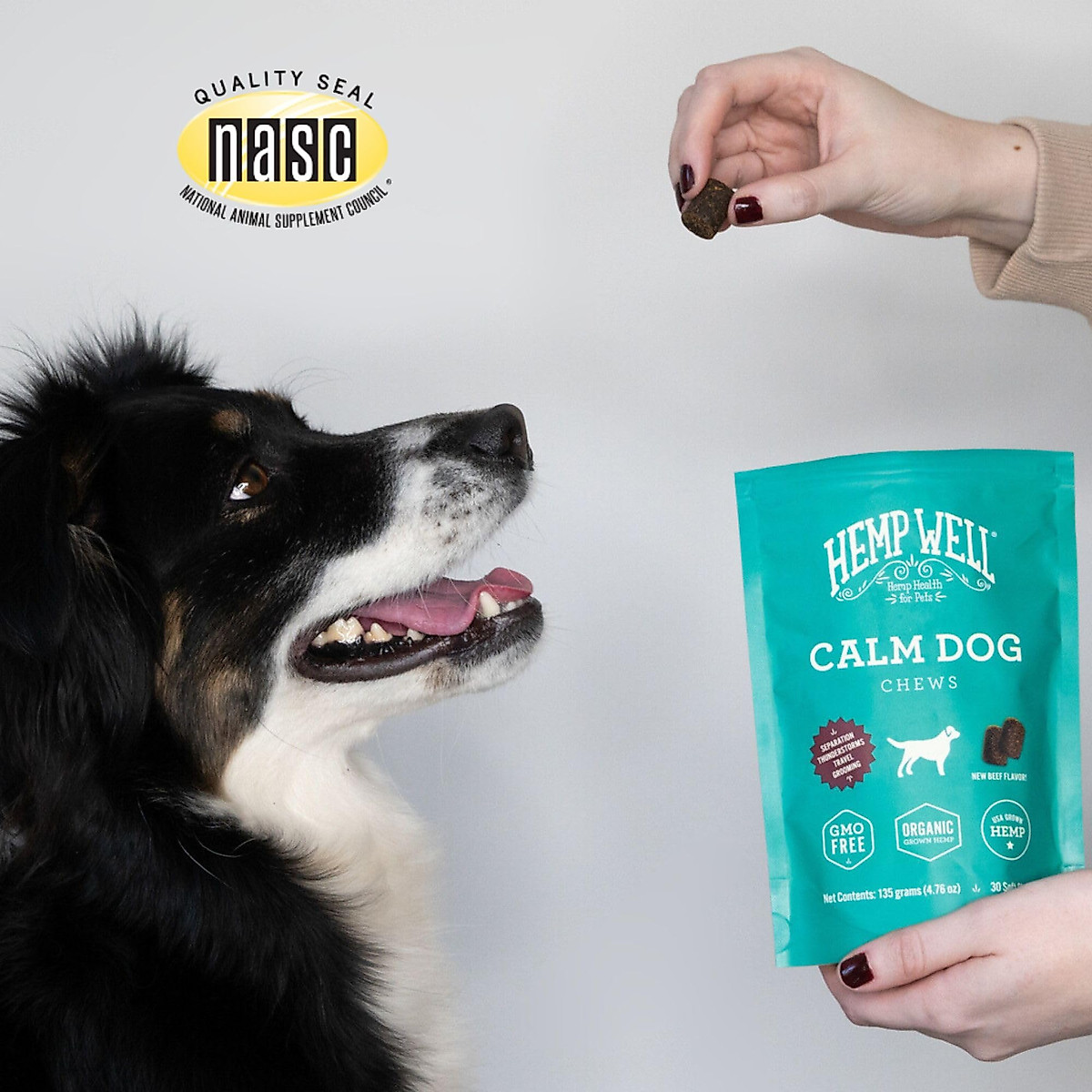 Hemp Well Calm Dog Soft Chews: Organic, Melatonin and Hemp Infused Calming Chews for Dogs with Anxiety, Separation Anxiety Relief and Stress Relief - 1 Pack Chews